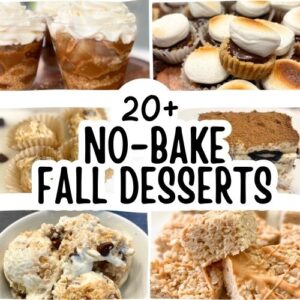 Sweet, Simple & Seasonal: 20 No Bake Fall Desserts - PrettyPastelitos
